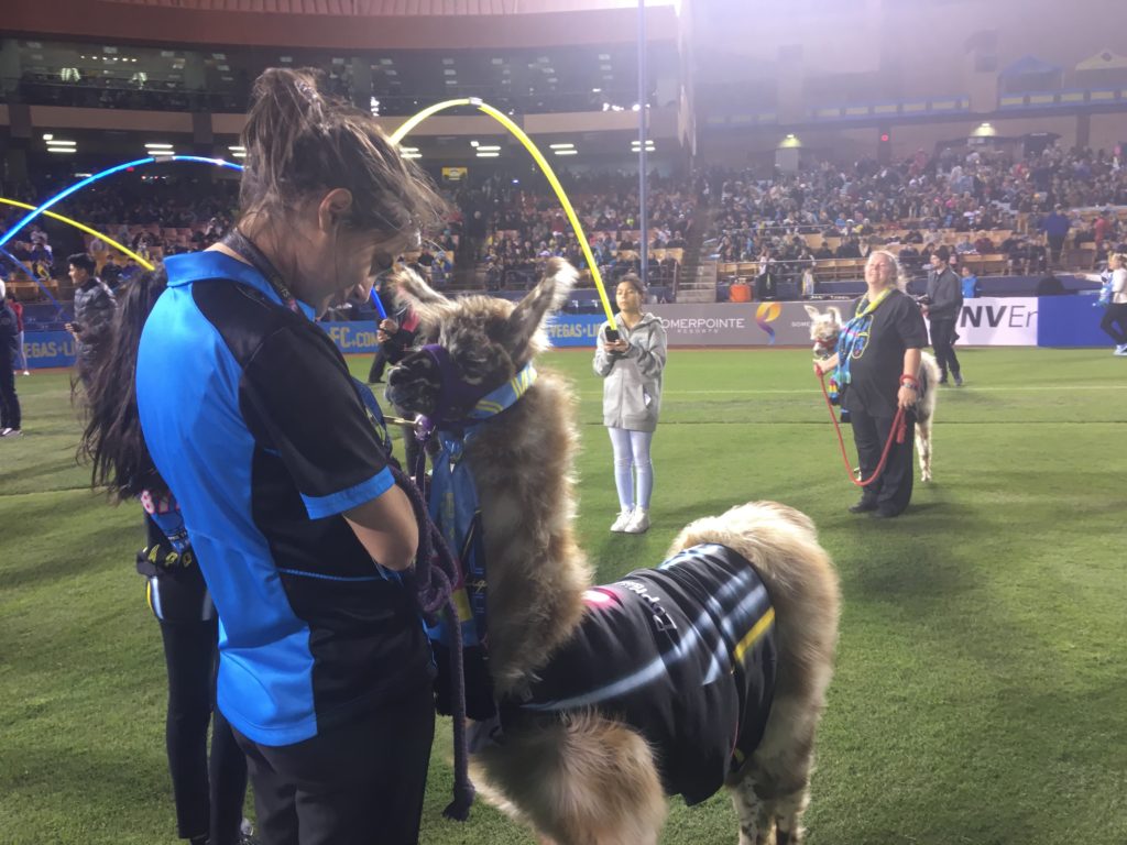 LV Lights FC Draws 9,019 For Soccer Team's Historic Home Opener; Game ...